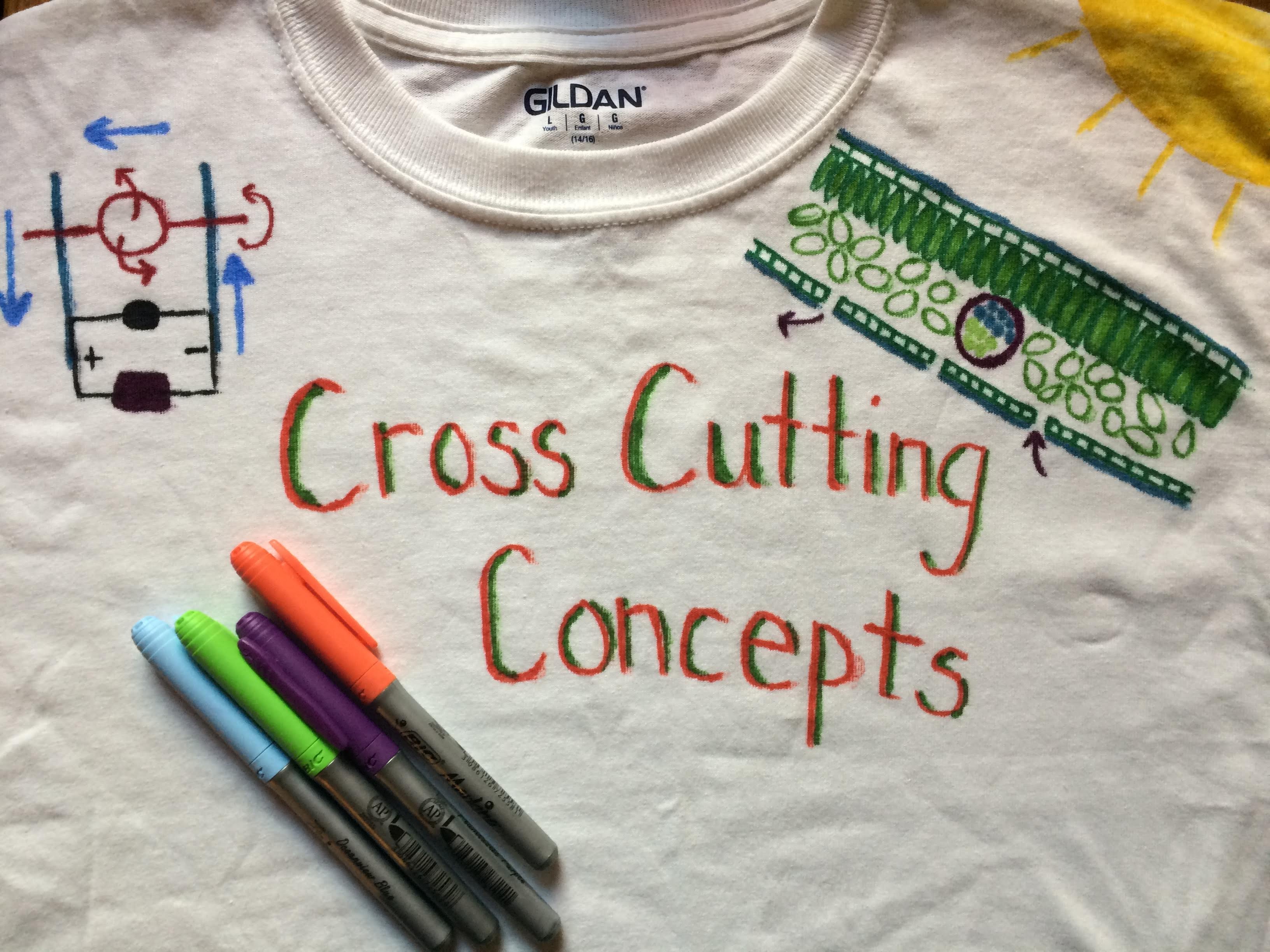 img_02381 – Crazy Science Lady