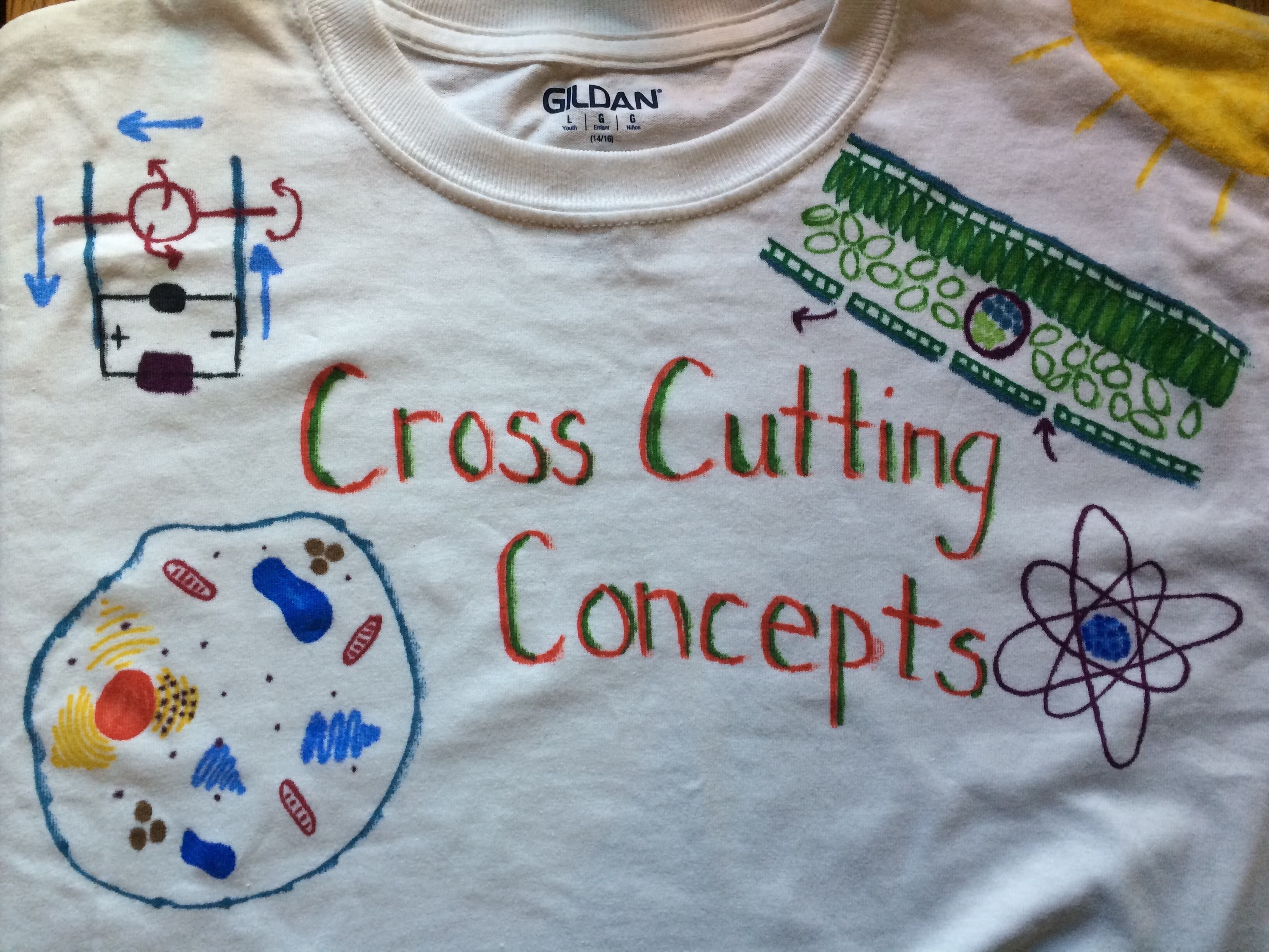 img_0239 – Crazy Science Lady