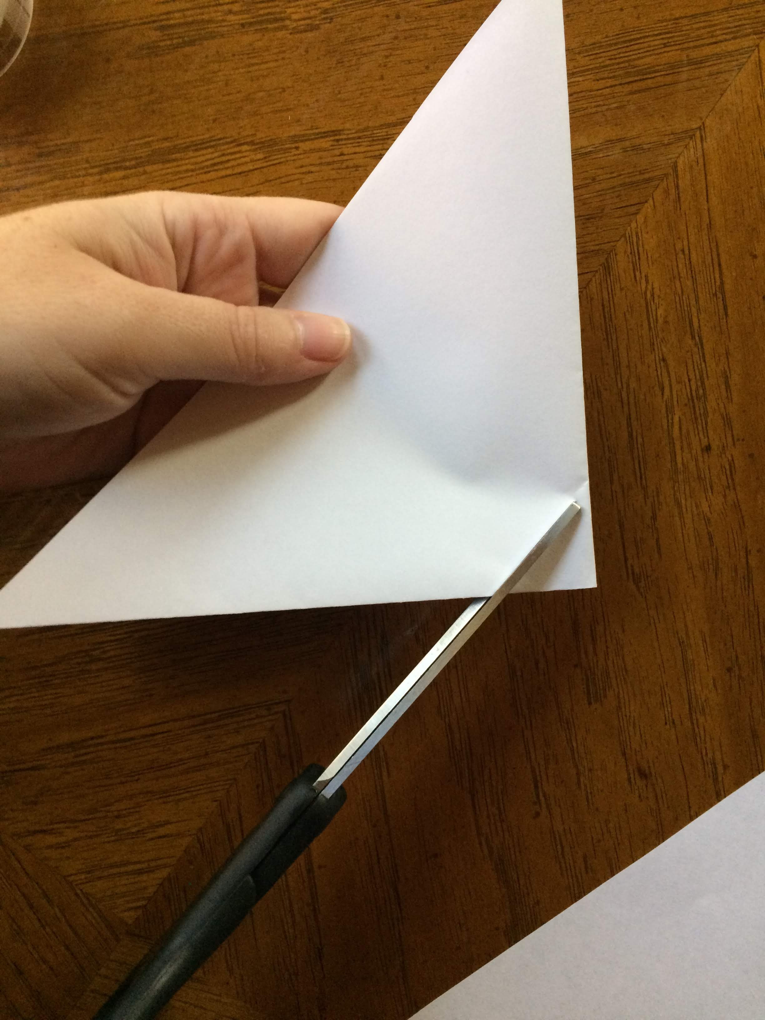 img_0465 – Crazy Science Lady