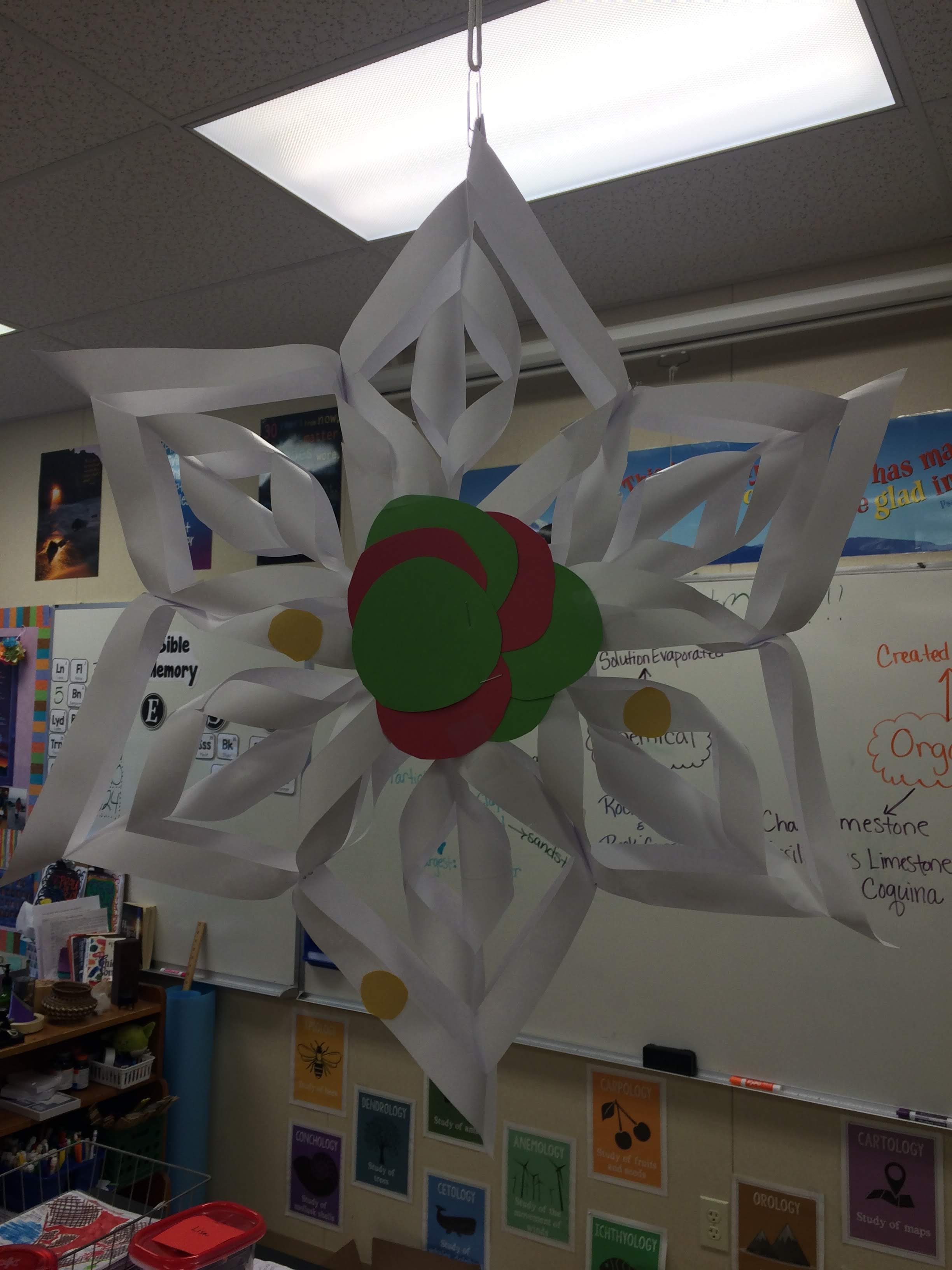 img_5312 – Crazy Science Lady