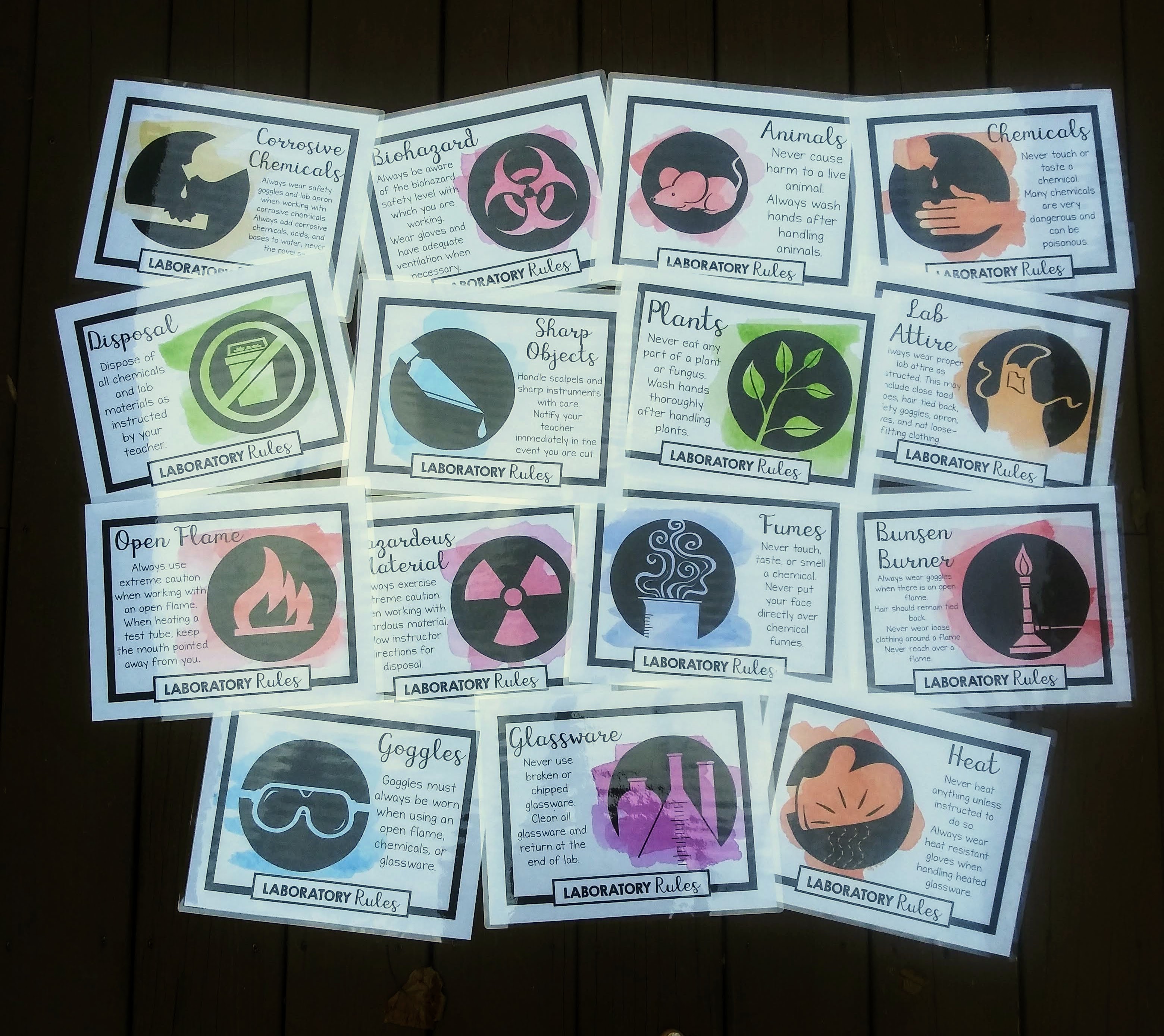 20190802_094137 – Crazy Science Lady